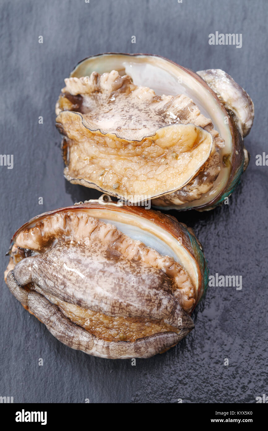 Abalone with seafood Stock Photo - Alamy
