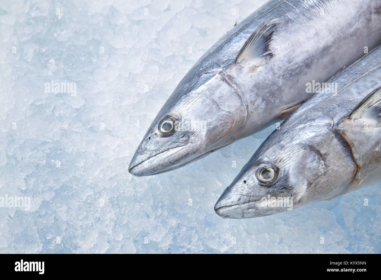 Raw saury hi-res stock photography and images - Alamy