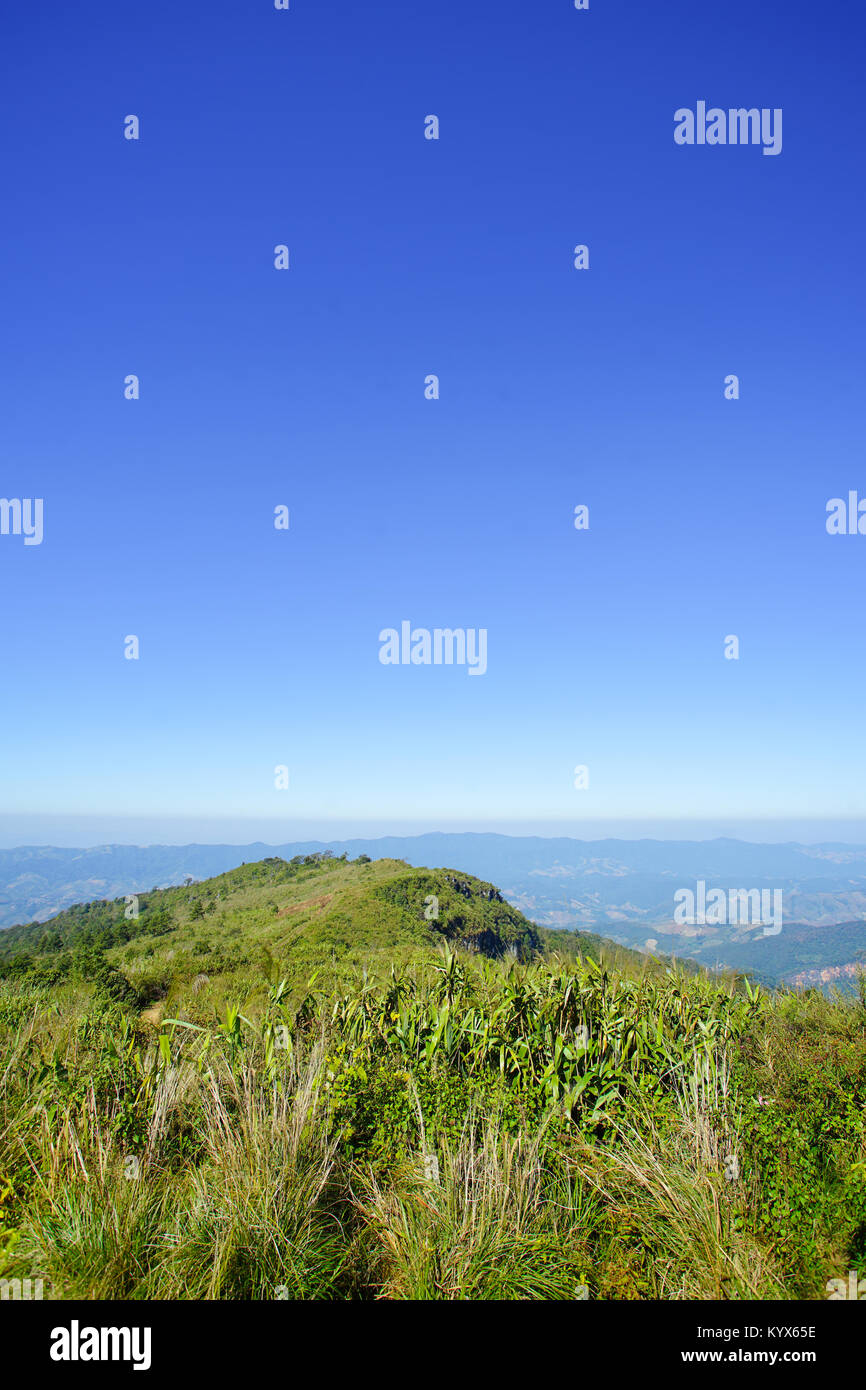 Mountain, forest and blue sky in Phu Chee Fa, Chiang Rai Thailand Stock ...