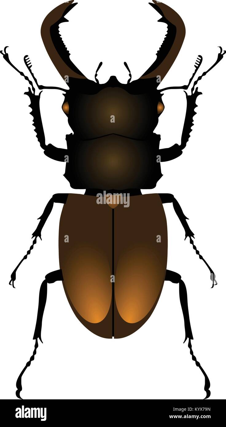 Commonwealthdumpy hi-res stock photography and images - Alamy