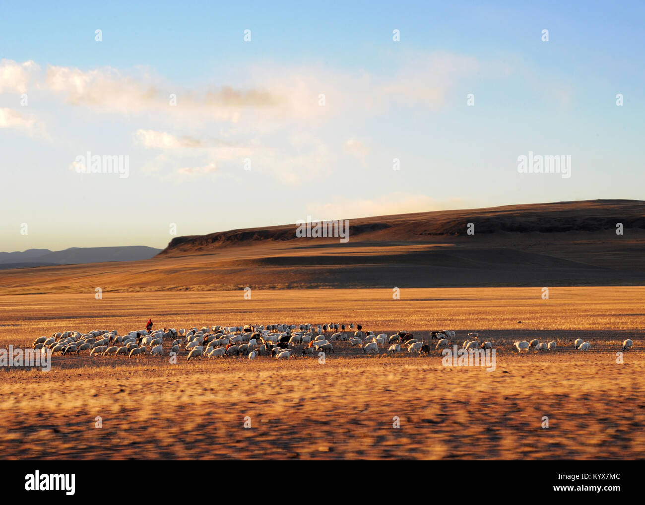 Zhongba County, Shigatse, Tibet Stock Photo - Alamy