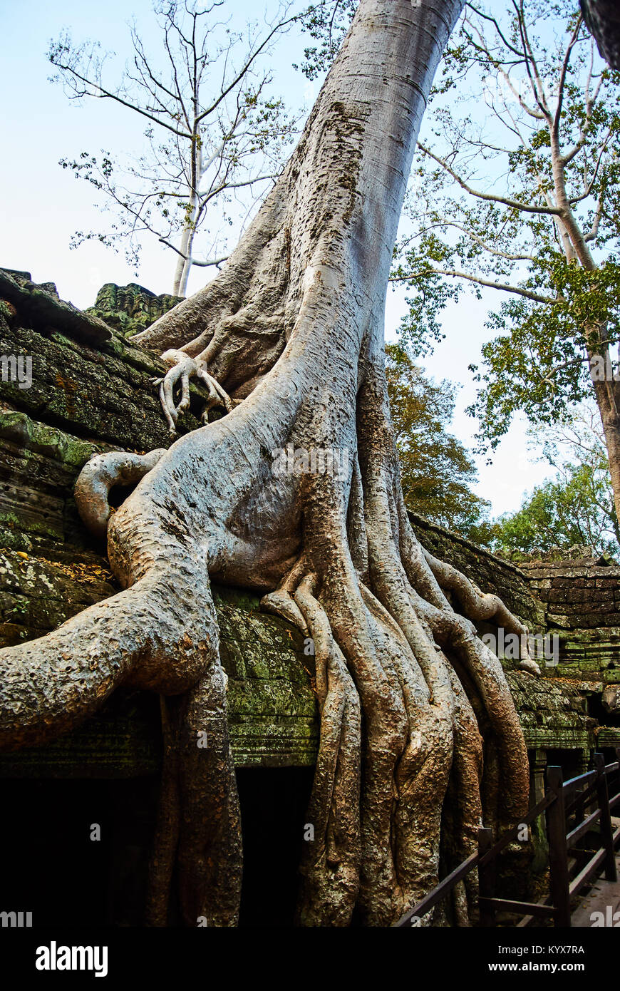 Historic building in Angkor wat Thom Cambodia with devatas carvings ...
