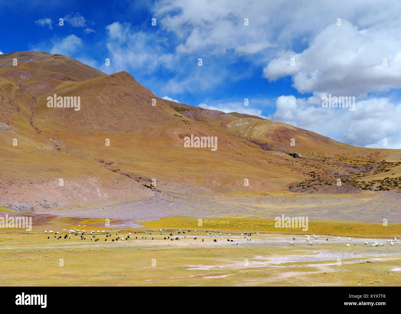 Zhongba County, Shigatse, Tibet Stock Photo - Alamy