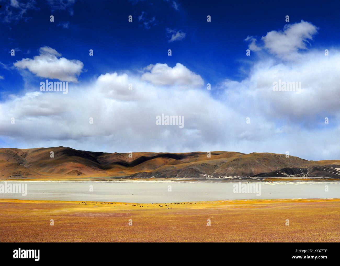 Zhongba County, Shigatse, Tibet Stock Photo - Alamy