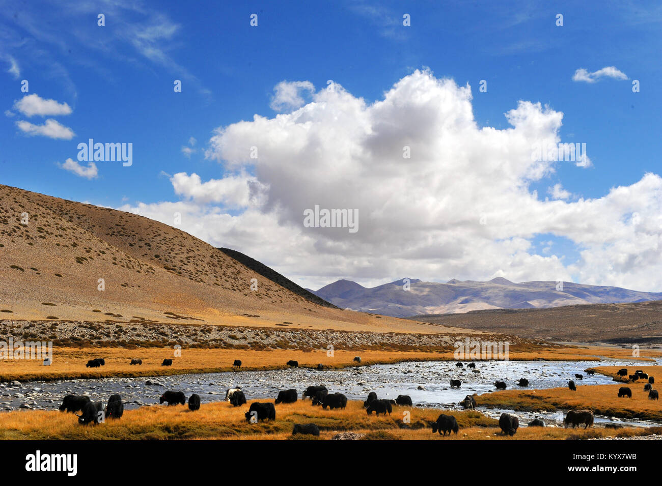 Zanda County, Tibet Stock Photo - Alamy