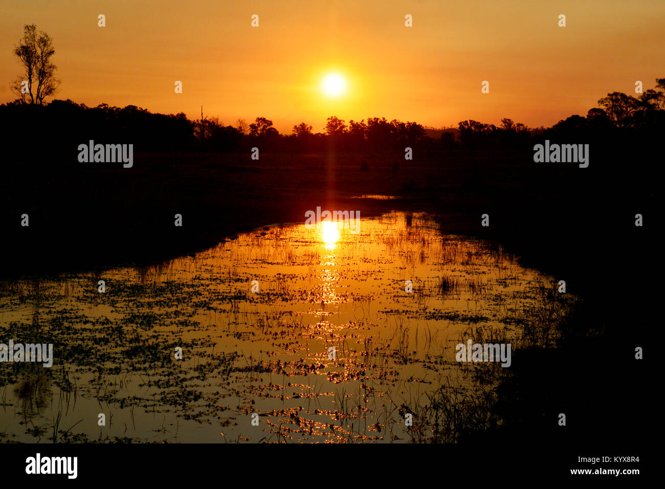 Australian scene hi-res stock photography and images - Alamy
