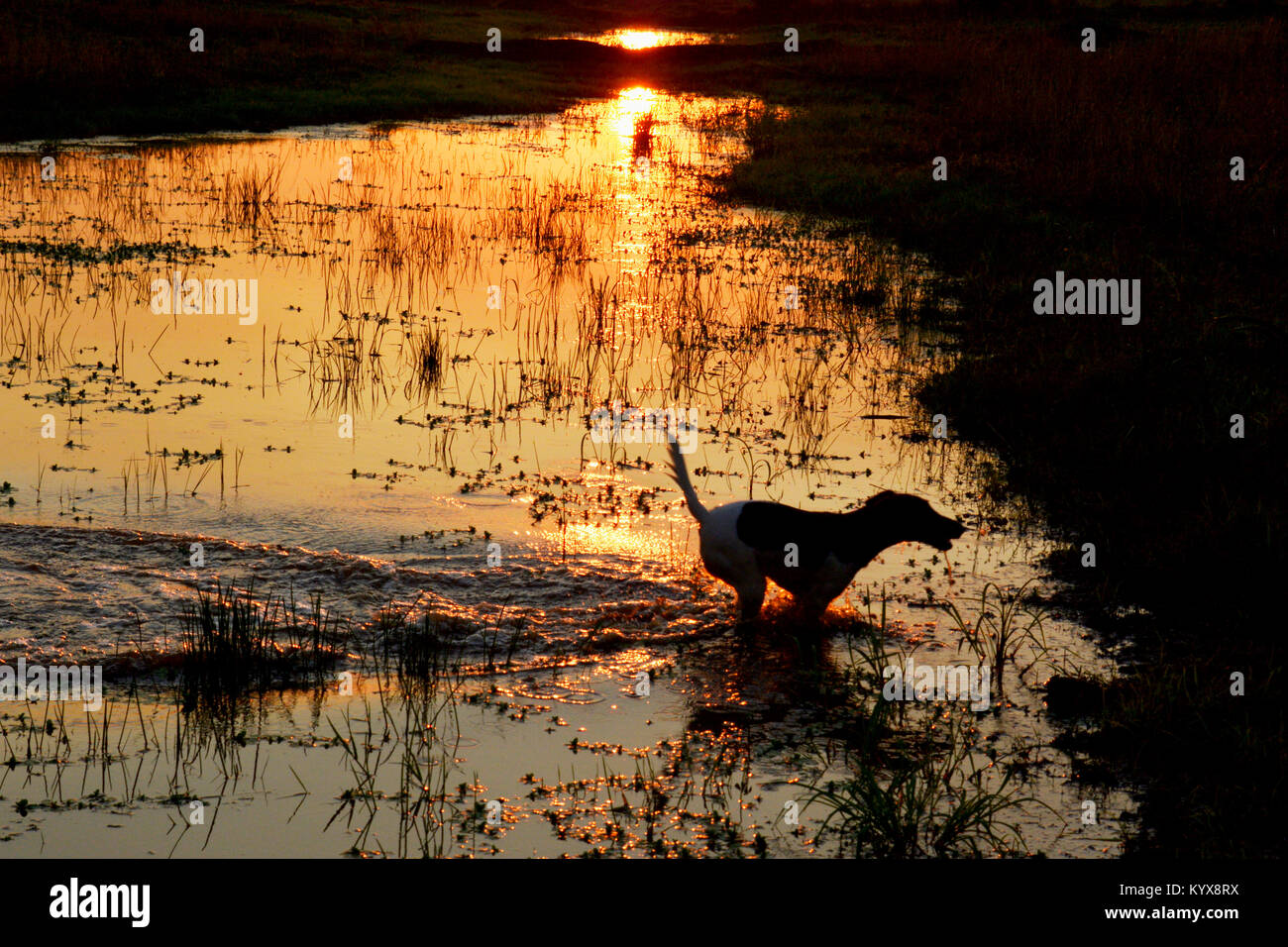 AUSTRALIAN OUTBACK SUNSET Stock Photo - Alamy