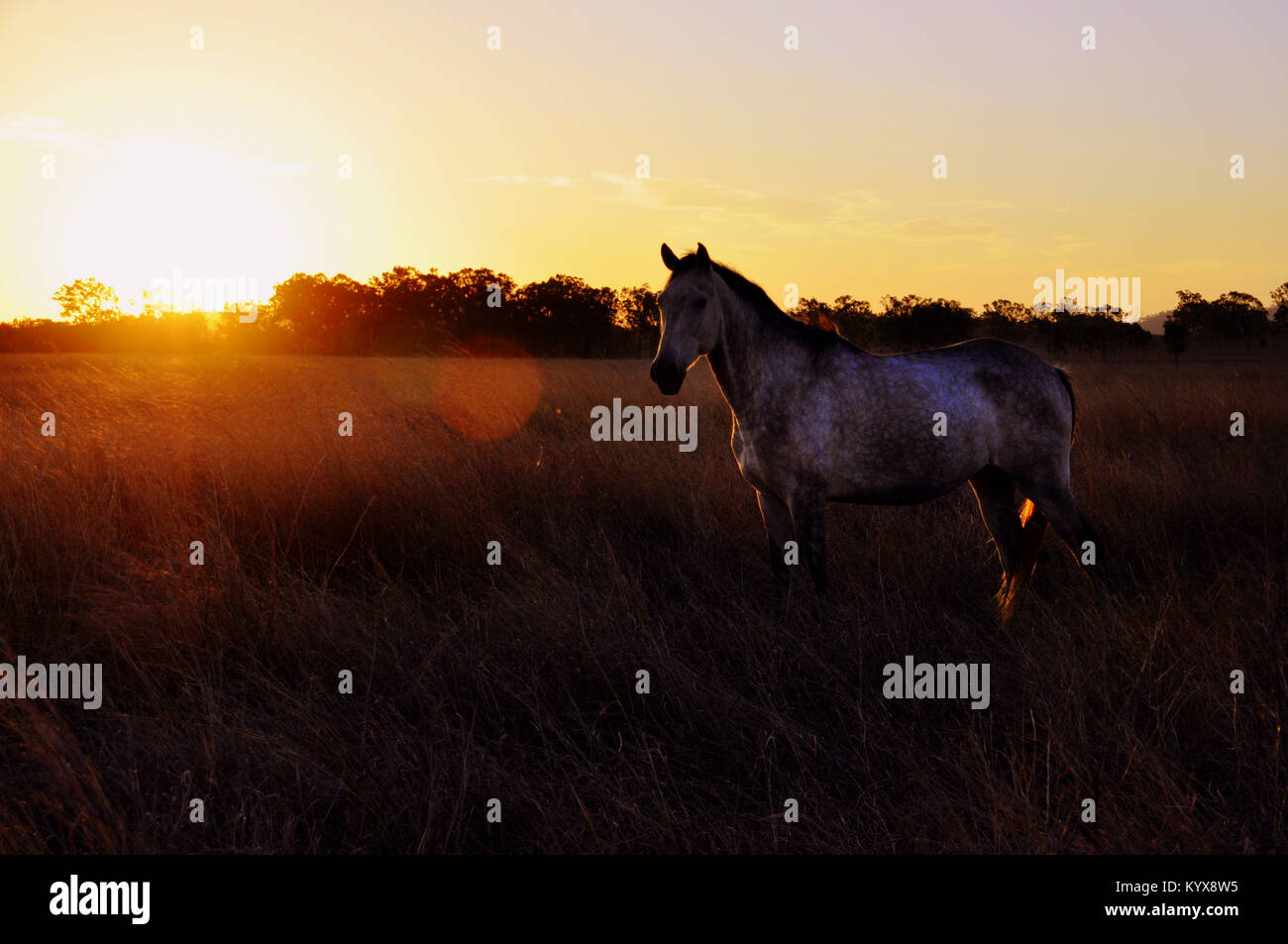 AUSTRALIAN OUTBACK SUNSET Stock Photo - Alamy