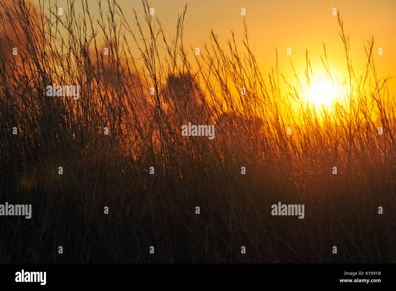 Australian fire outback hi-res stock photography and images - Alamy