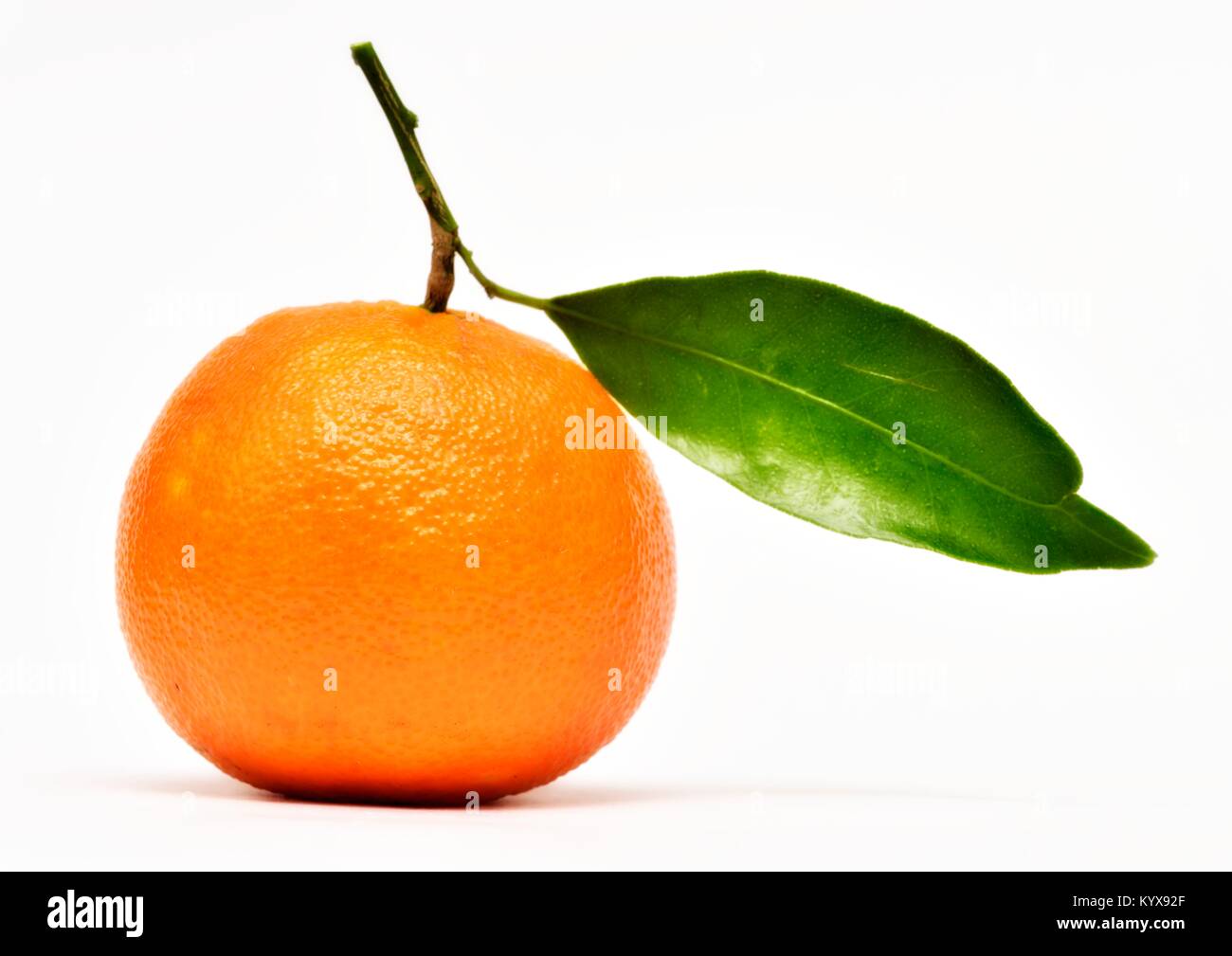 Clementines leaf hi-res stock photography and images - Alamy
