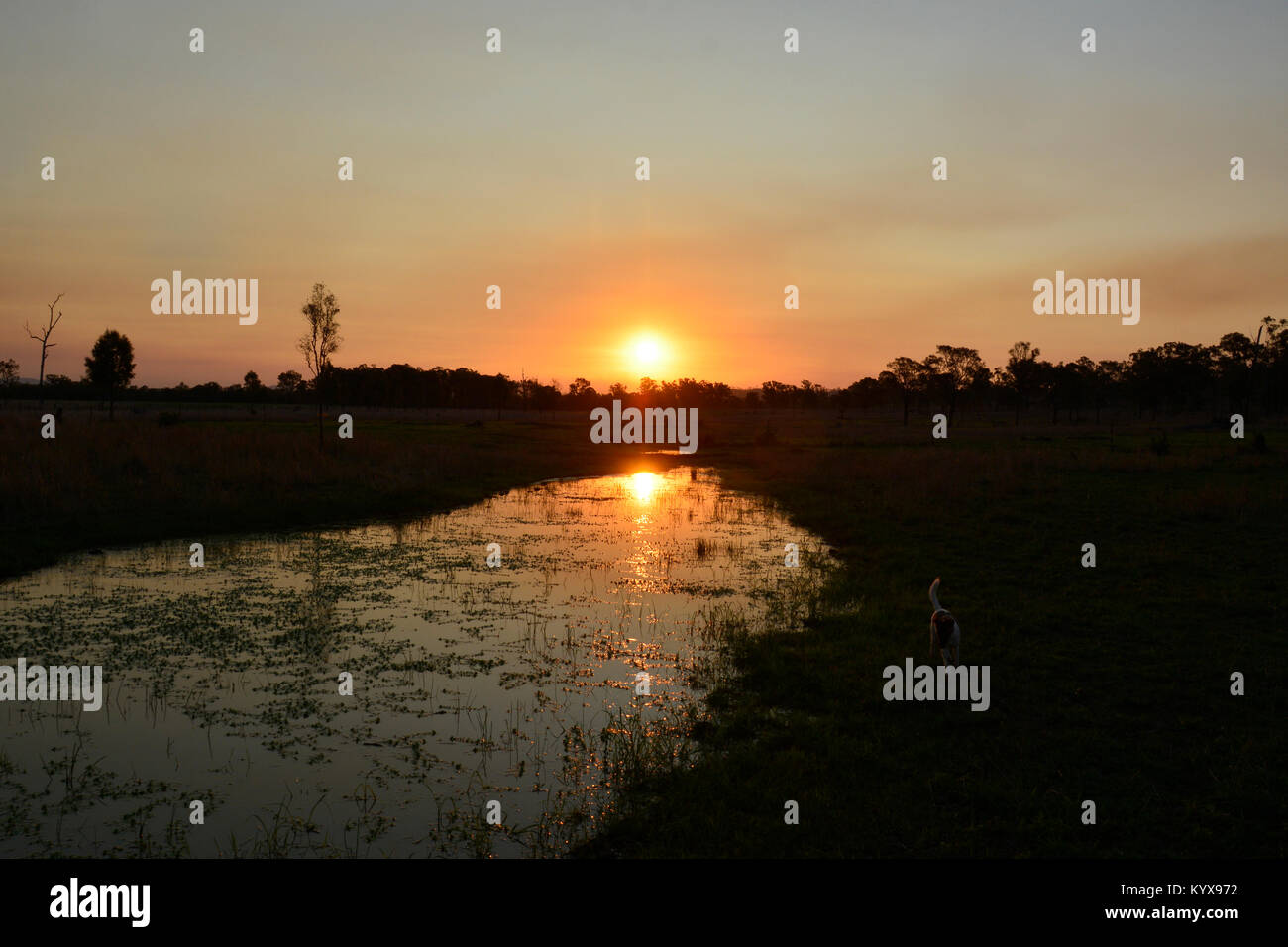 AUSTRALIAN OUTBACK SUNSET Stock Photo - Alamy