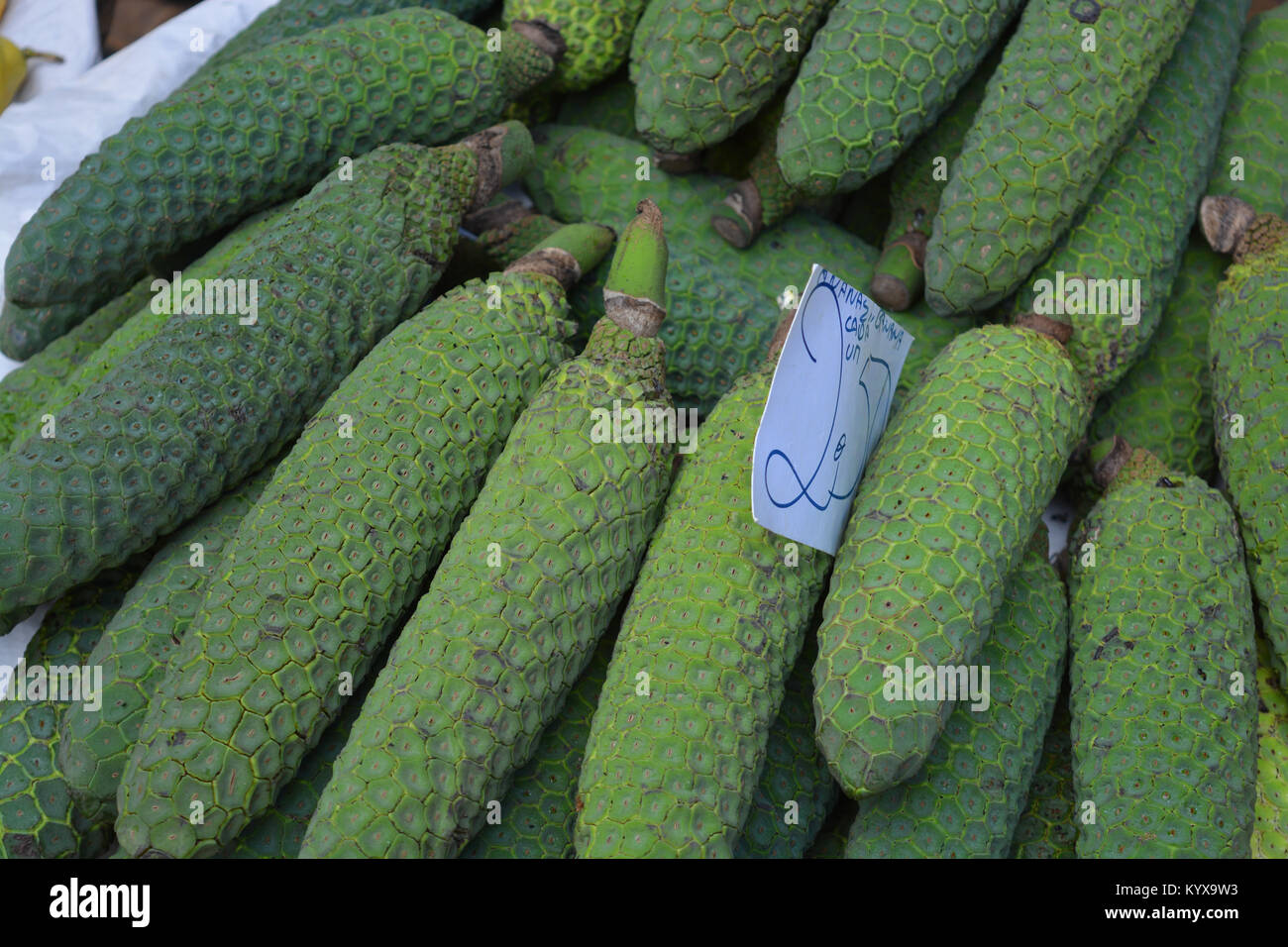 Adams rib hi-res stock photography and images - Alamy