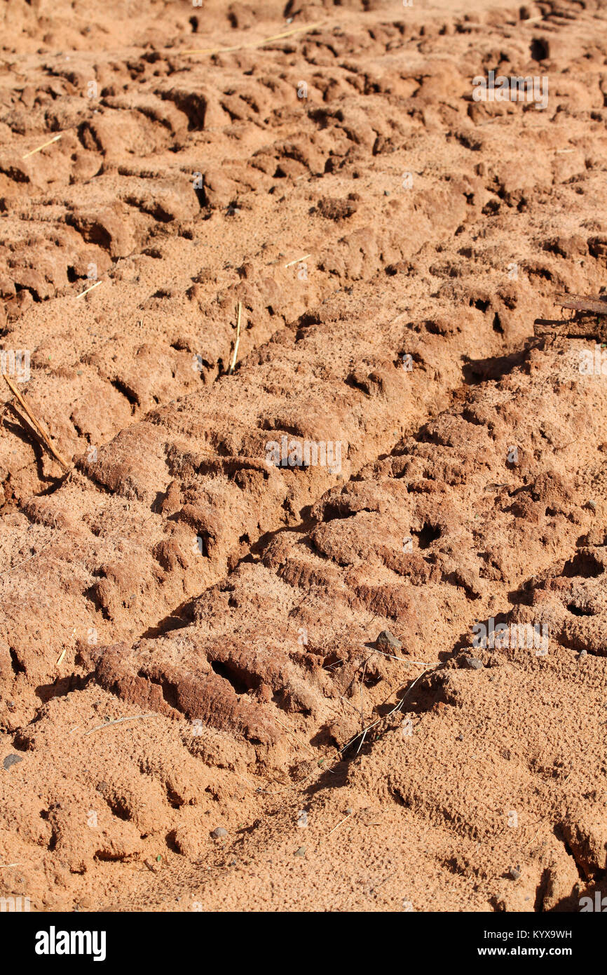Eroded soil hi-res stock photography and images - Alamy