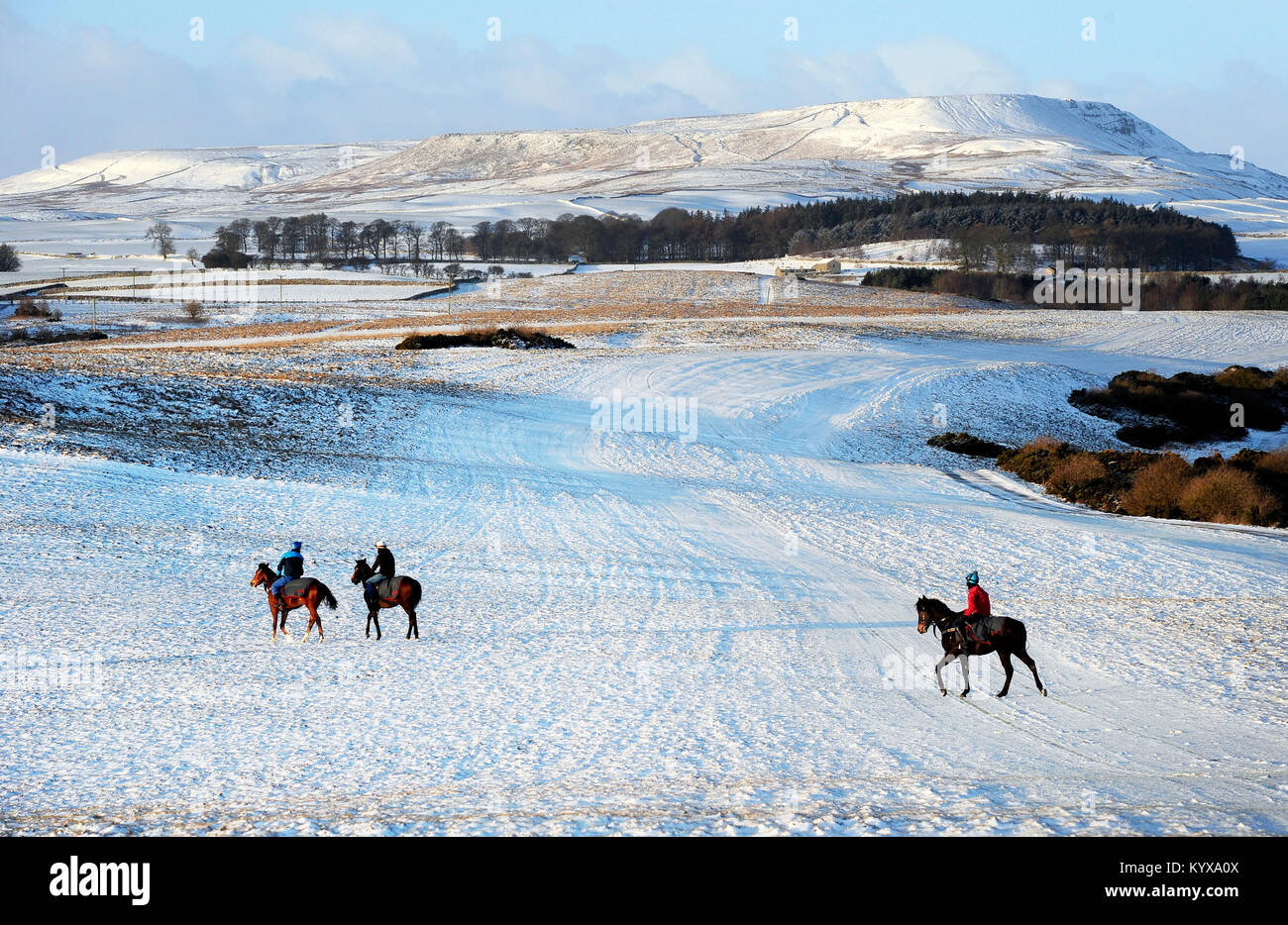 Racehorses make their way across the snow covered fells to the gallops ...