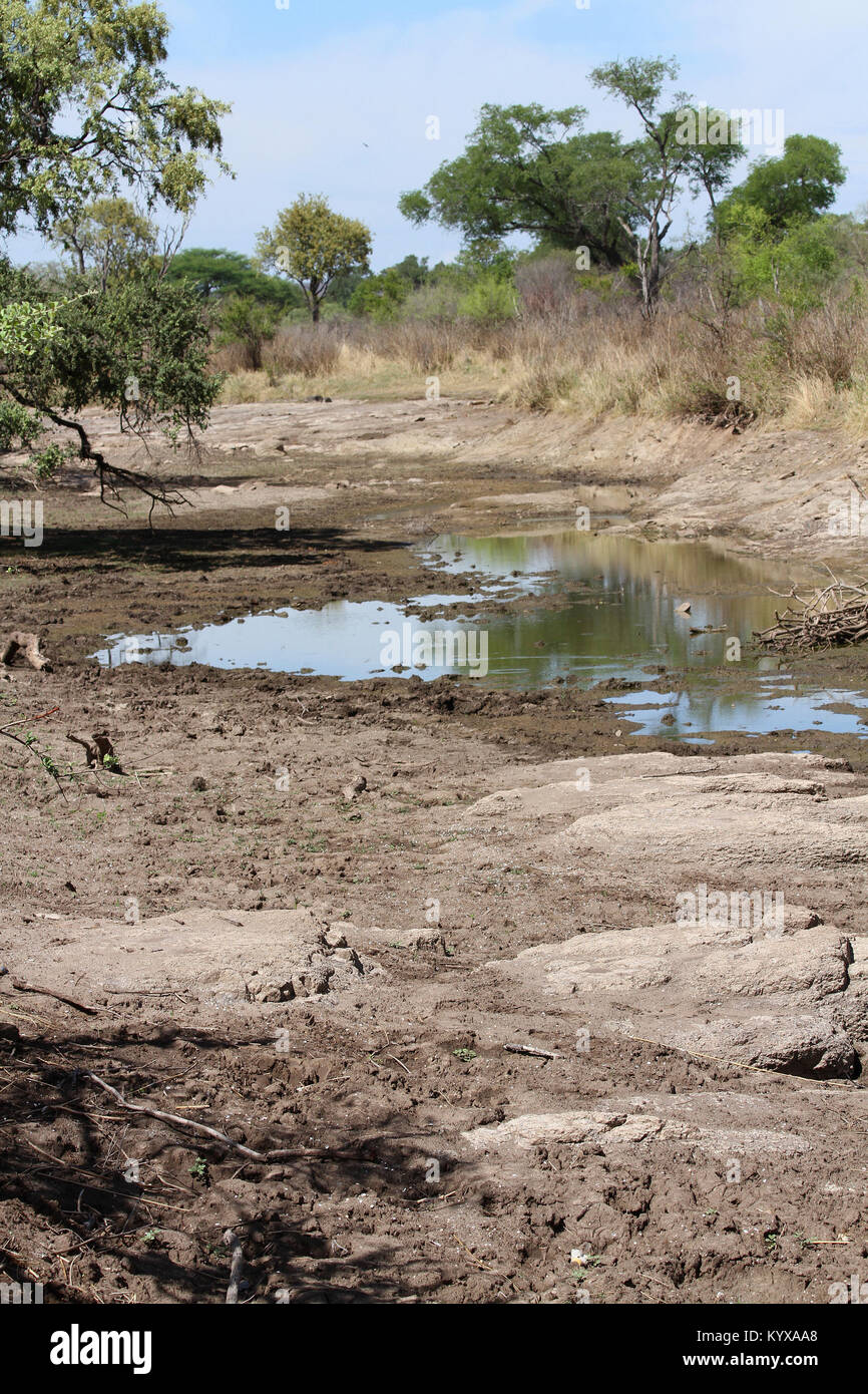 Reserve bank of zimbabwe hi-res stock photography and images - Alamy