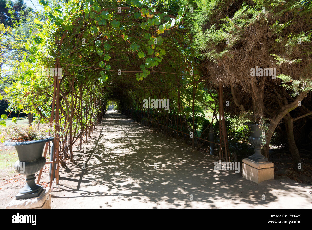 Vineyard Concha y Toro, Chile Stock Photo - Alamy
