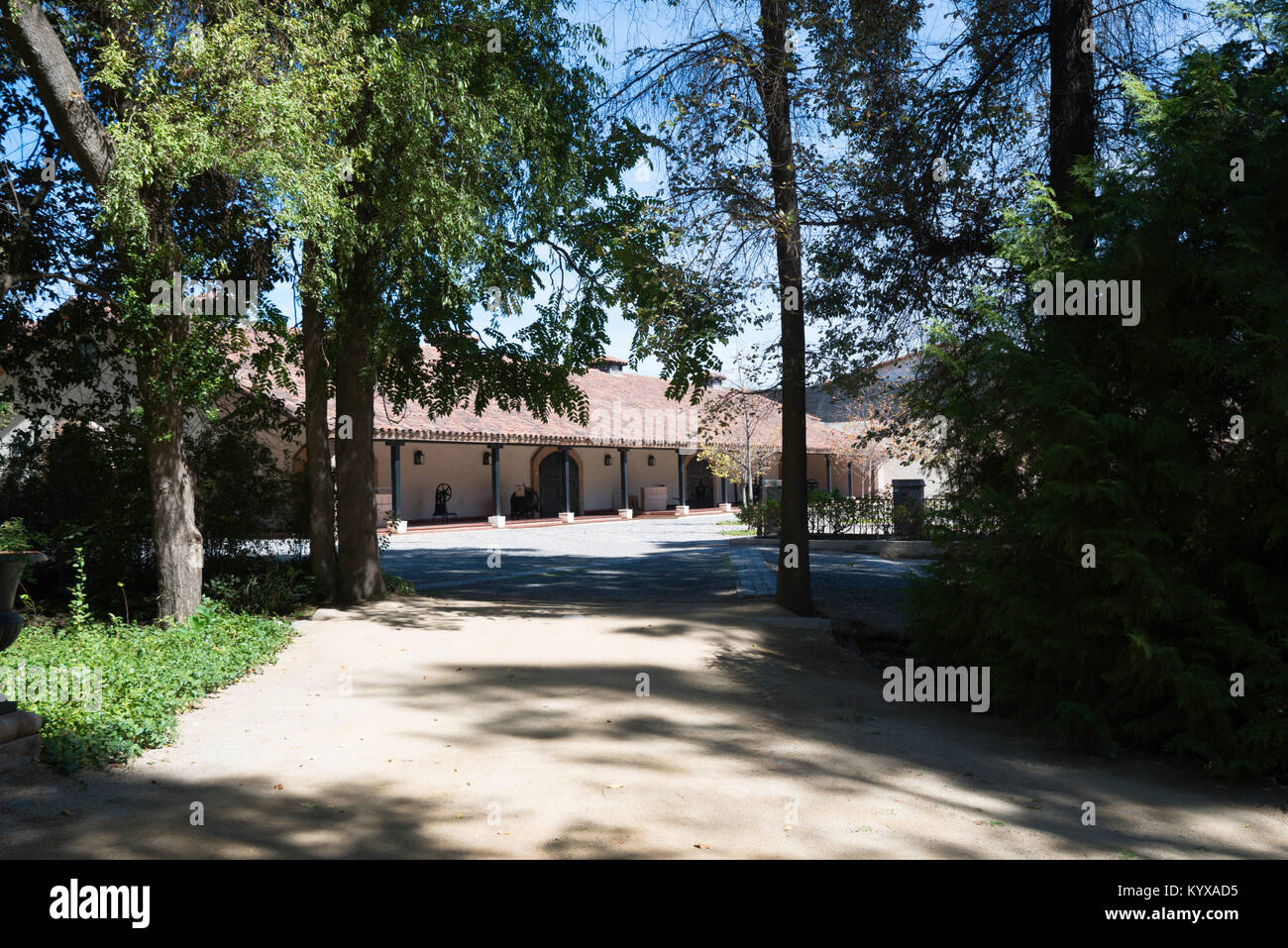 Vineyard Concha y Toro, Chile Stock Photo - Alamy