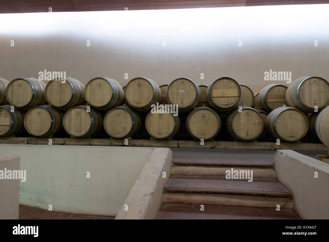 Vineyard Concha y Toro, Chile Stock Photo - Alamy