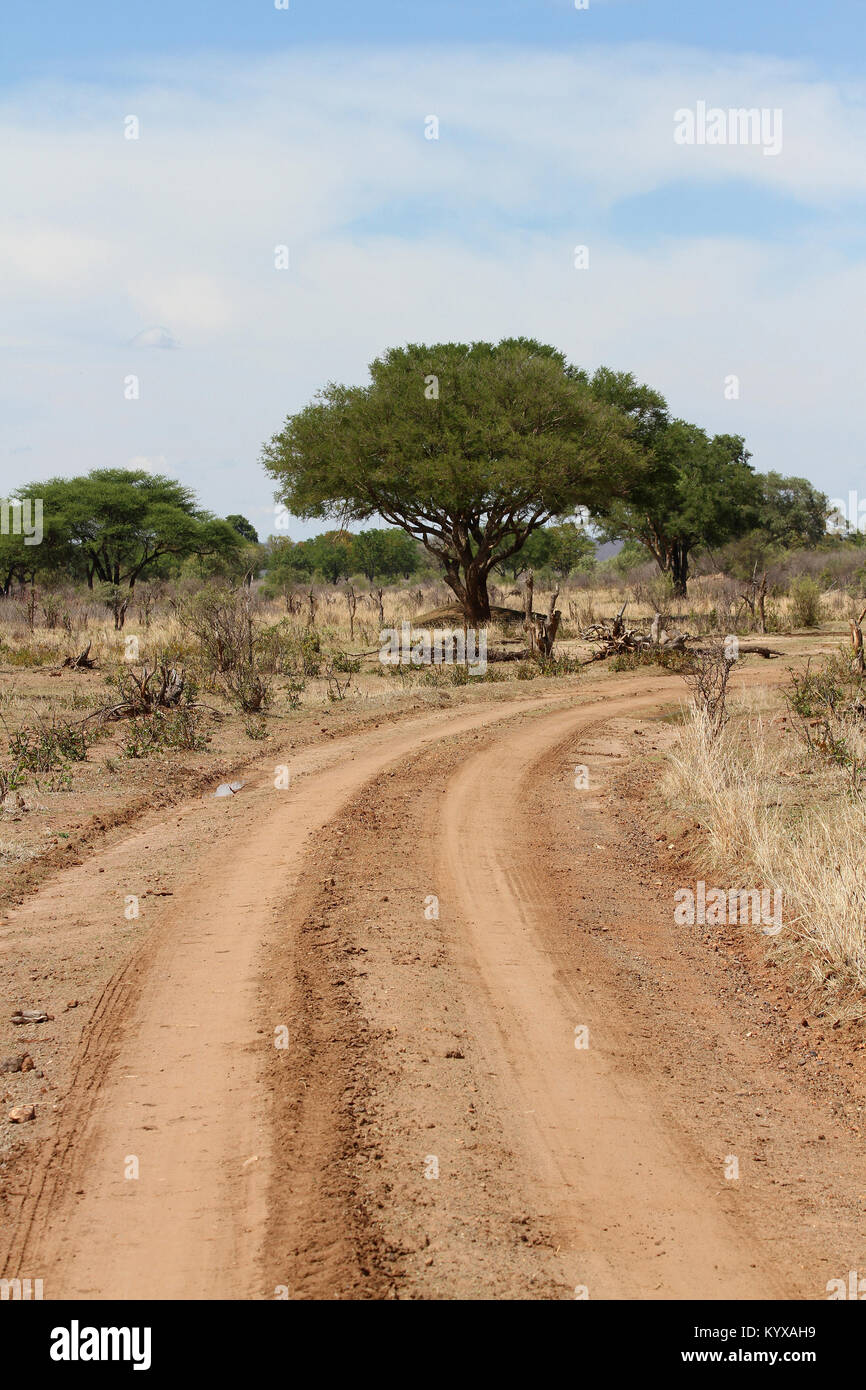 Dirt road and tree in Victoria Falls Private Game Reserve, Zimbabwe ...