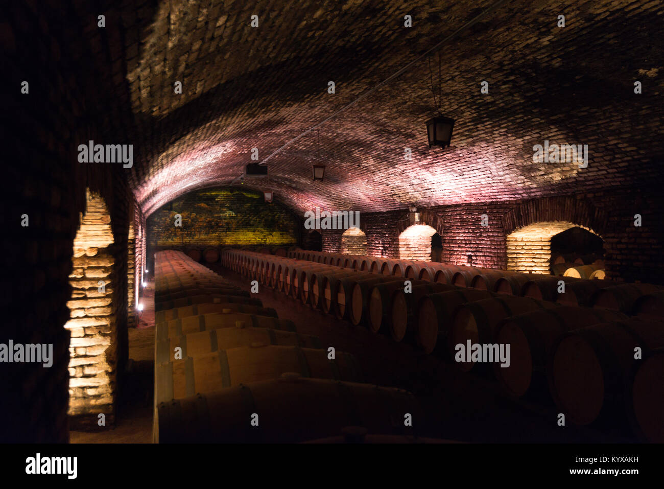 Vineyard Concha y Toro, Chile Stock Photo - Alamy