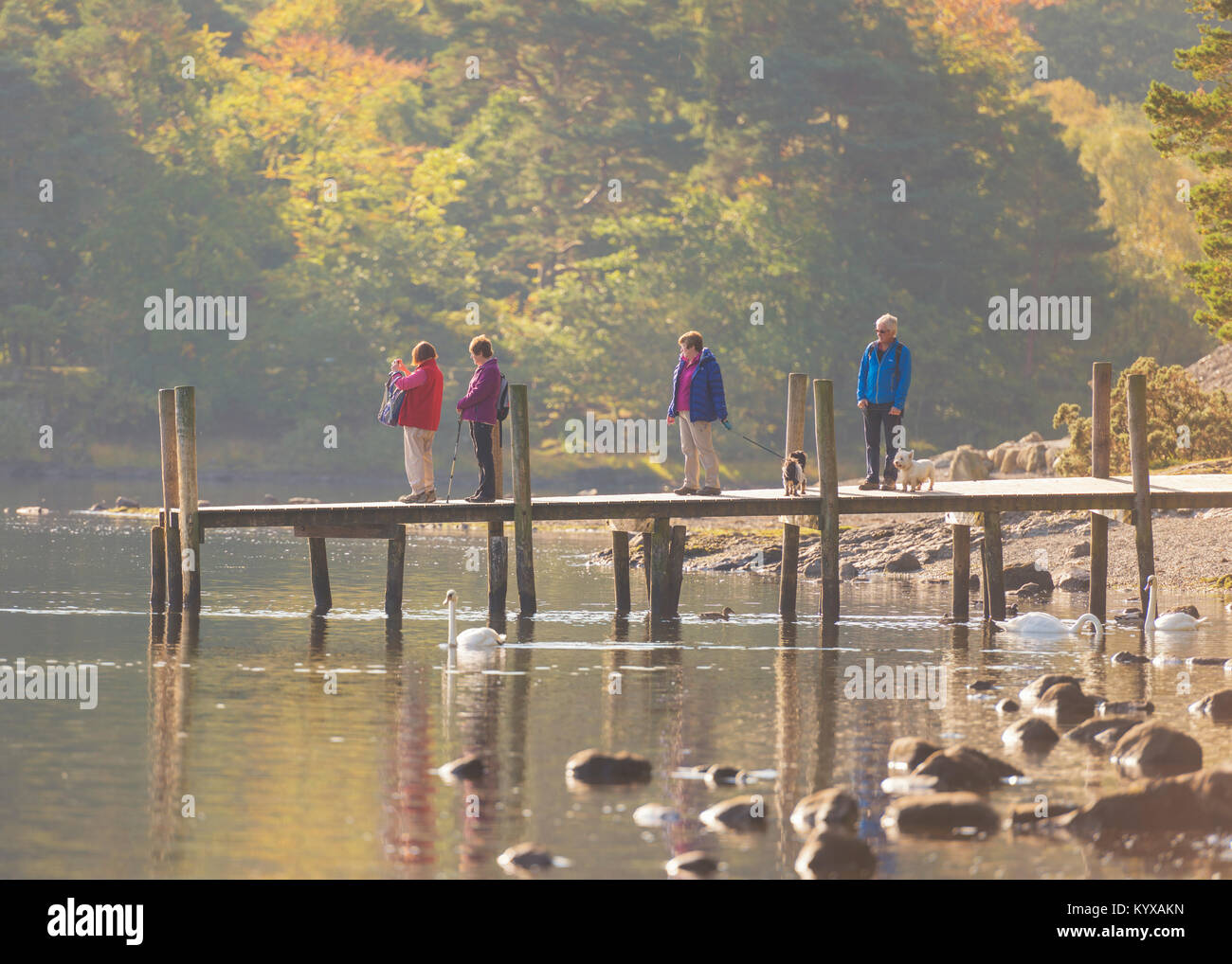 Derwent ferry boat hi-res stock photography and images - Alamy