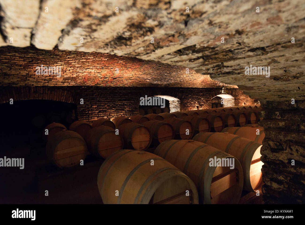 Vineyard Concha y Toro, Chile Stock Photo - Alamy