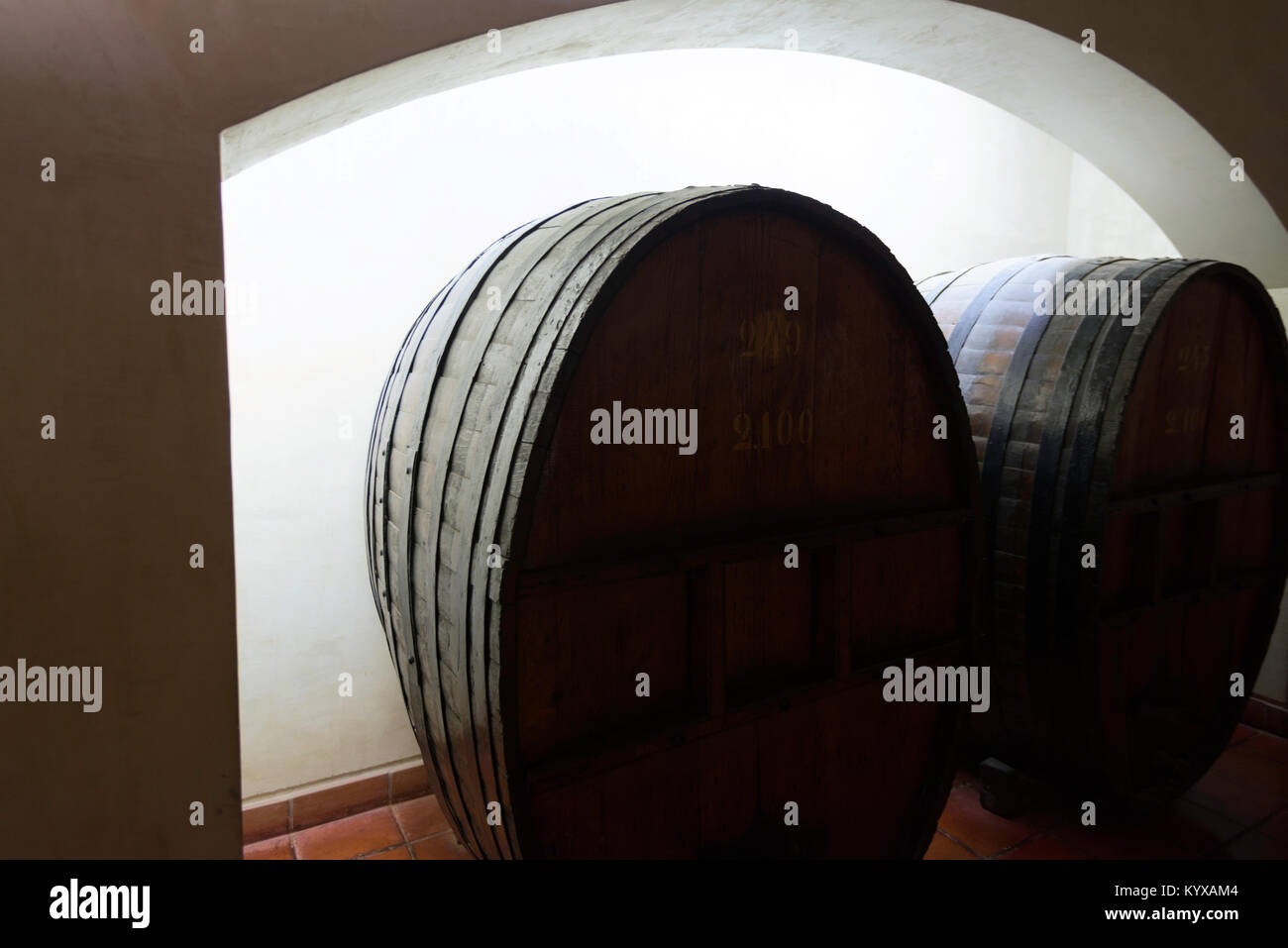 Vineyard Concha y Toro, Chile Stock Photo - Alamy