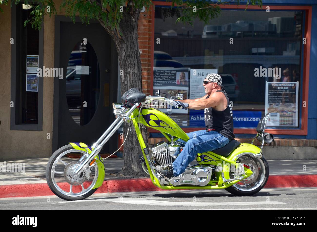 a biker rides his green hog motorcycle through durango colorado USA ...