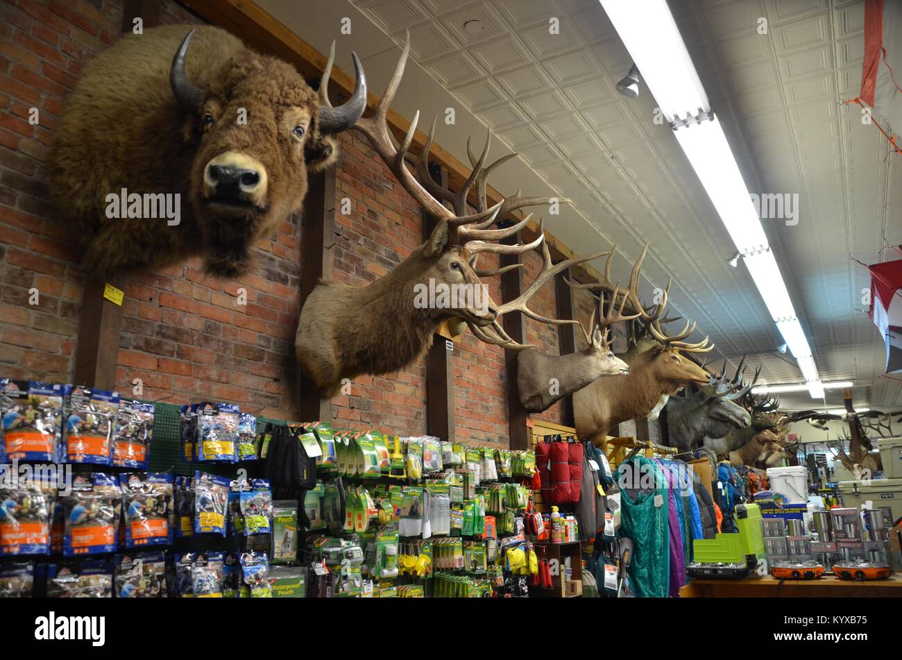 Camping store hi-res stock photography and images - Alamy