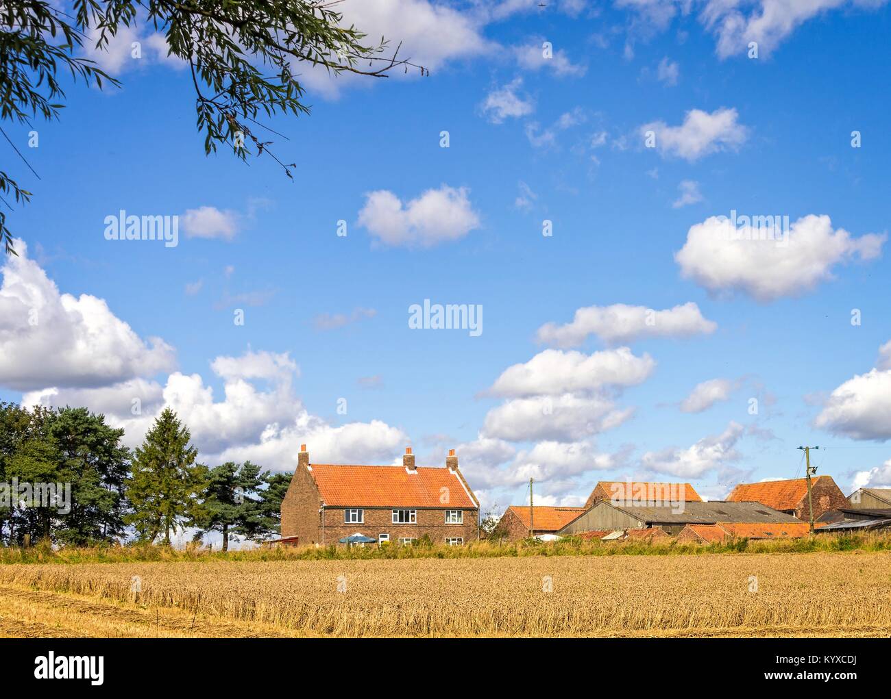 Stand behind yellow line hi-res stock photography and images - Alamy