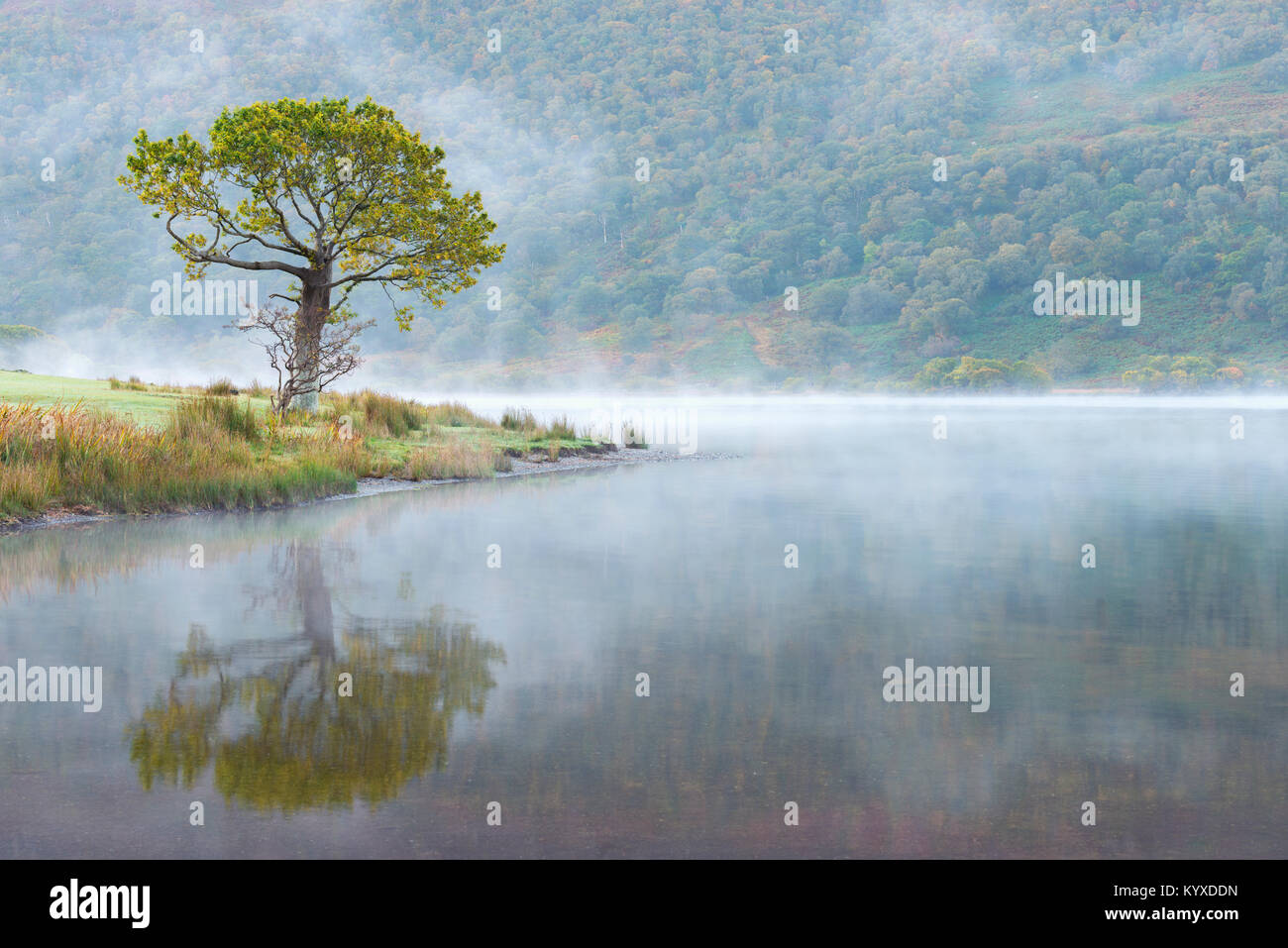Beautiful mist on Buttermere lake Stock Photo - Alamy
