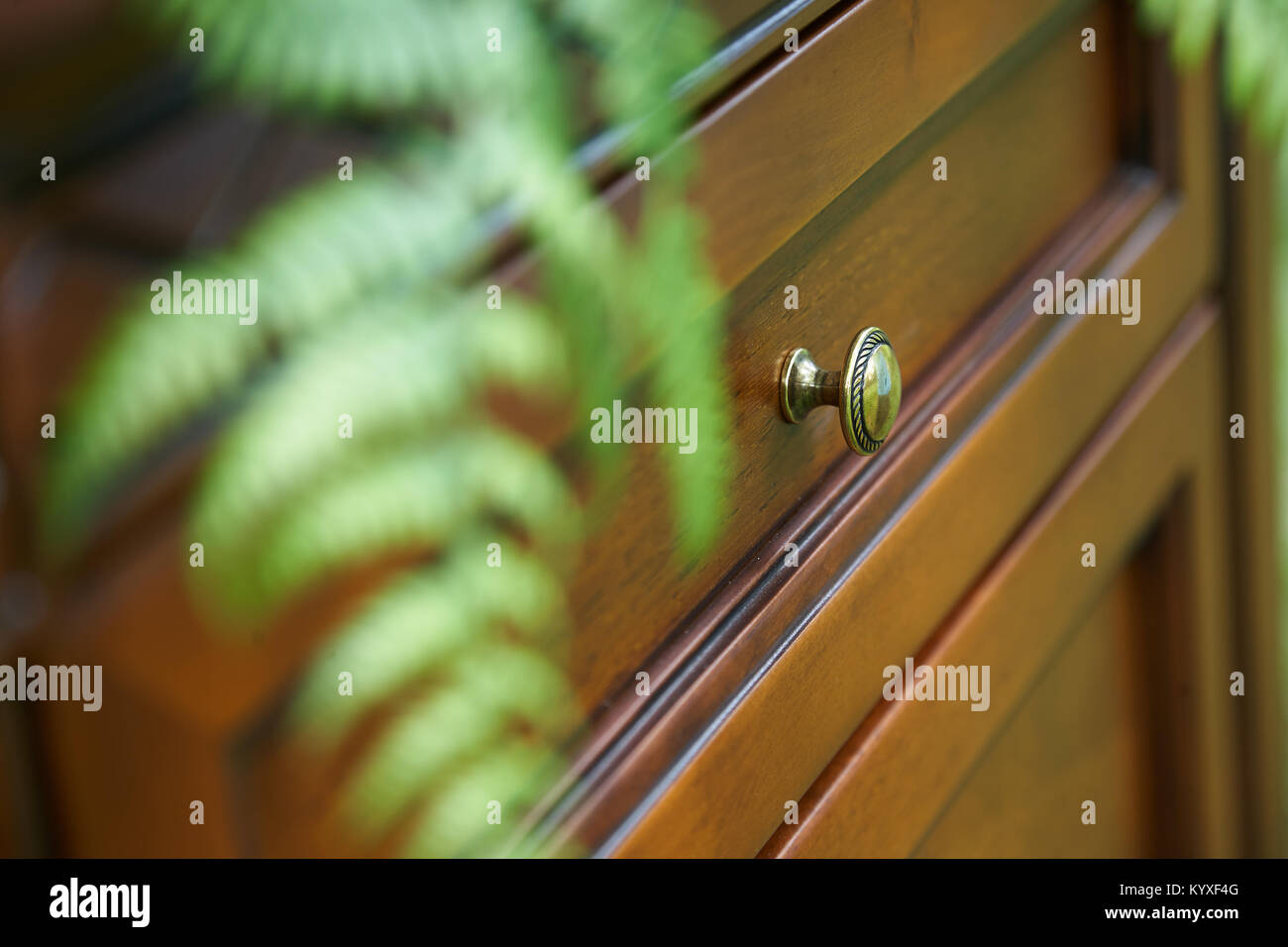 Cupboard standing in a forest Stock Photo - Alamy