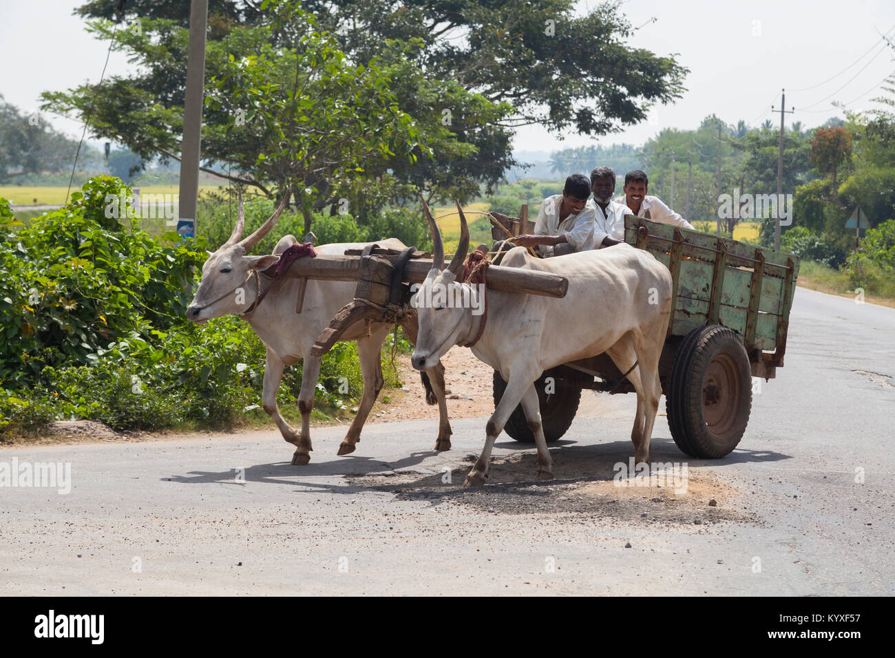 Indian bullock cart on village hi-res stock photography and images - Alamy