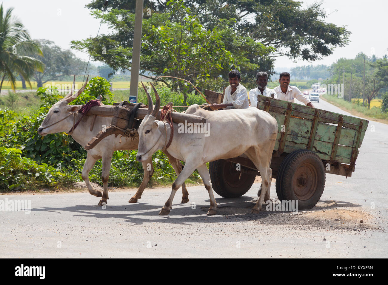 Ox Cart India Stock Photos & Ox Cart India Stock Images - Alamy