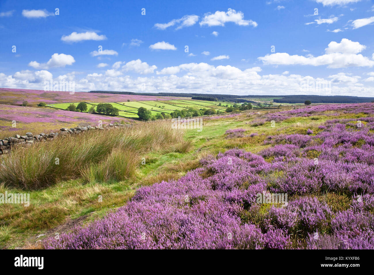 North york moors national park hi-res stock photography and images - Alamy