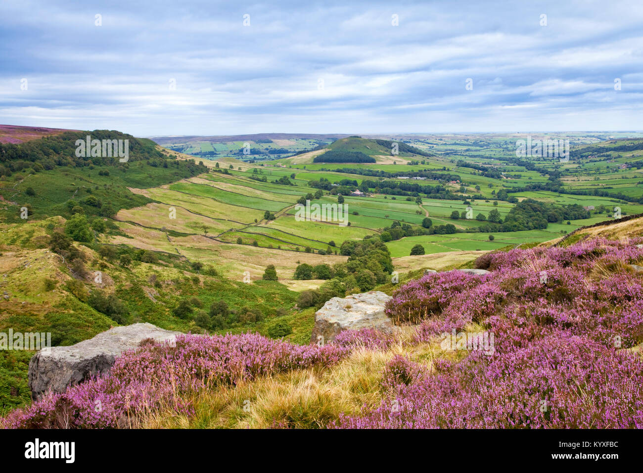 Great Fryup Dale from Danby High Moor North York Moors national park ...