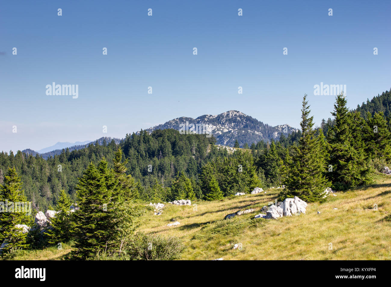 Velebit mountain croatia hi-res stock photography and images - Alamy