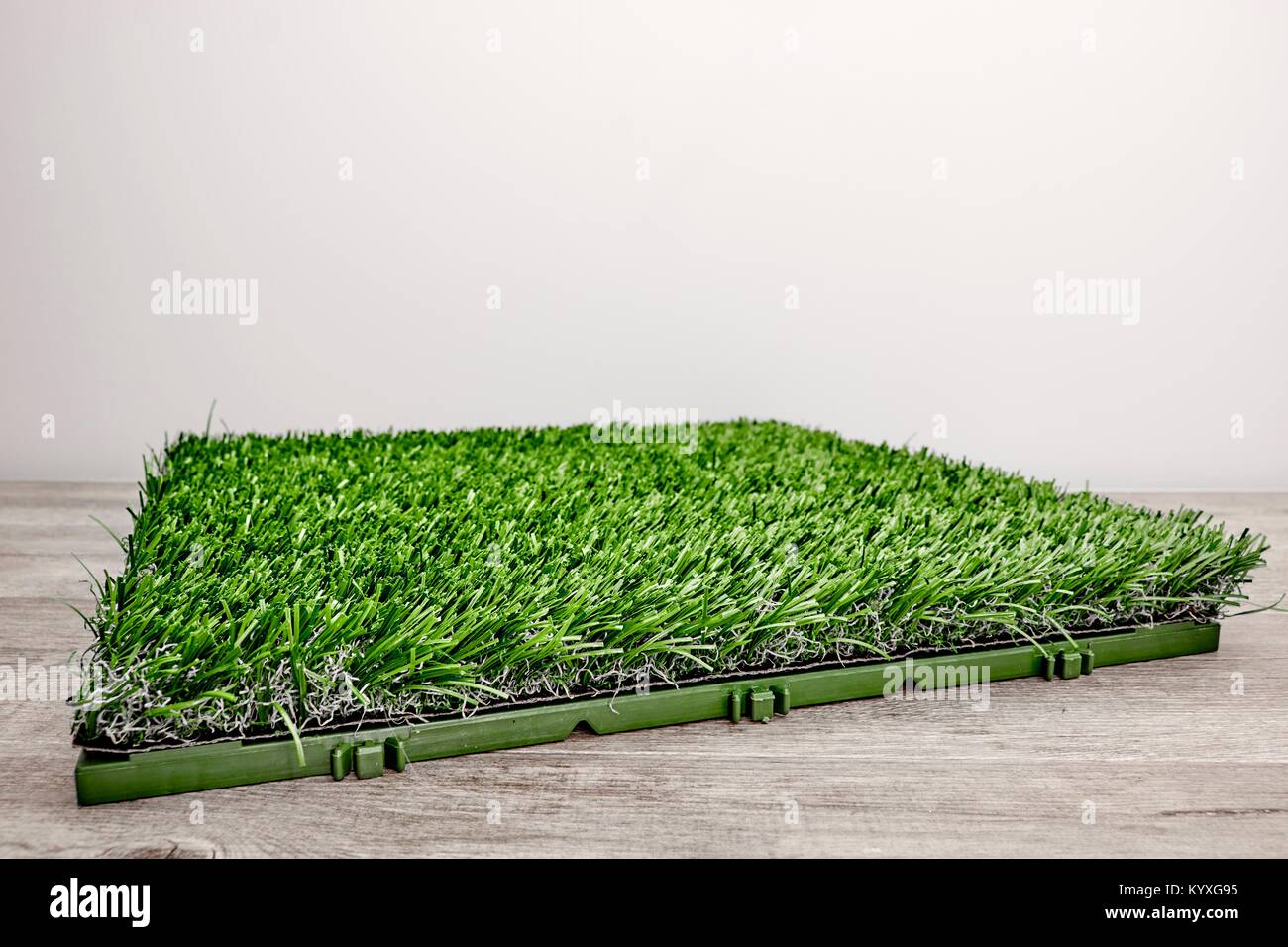 A studio photo of artificial grass with a blue background Stock Photo ...
