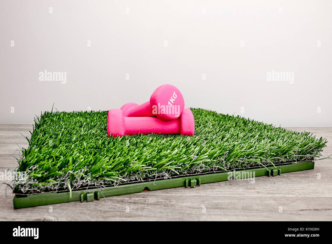 A studio photo of artificial grass with a blue background Stock Photo ...