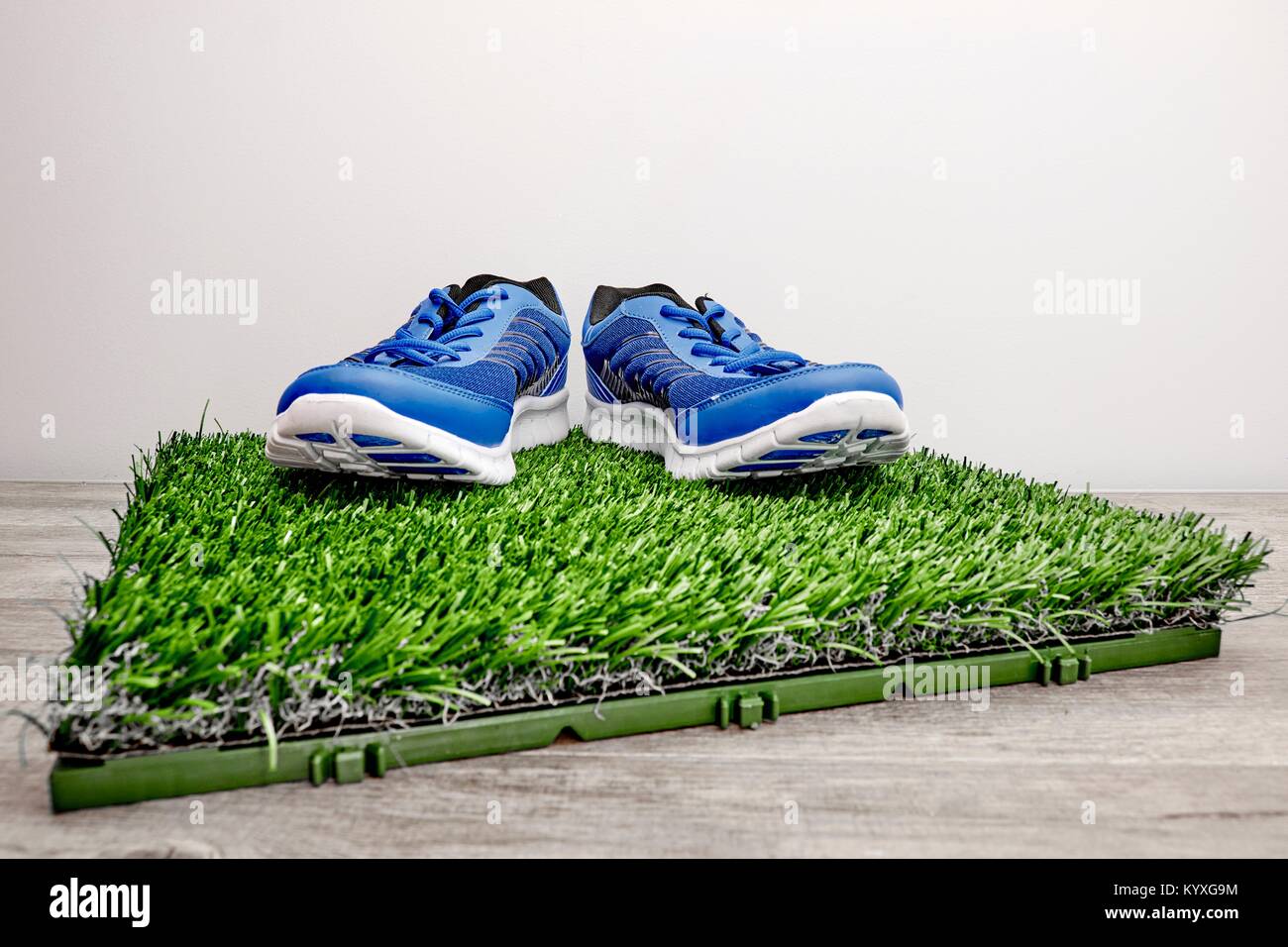 A studio photo of artificial grass with a blue background Stock Photo ...