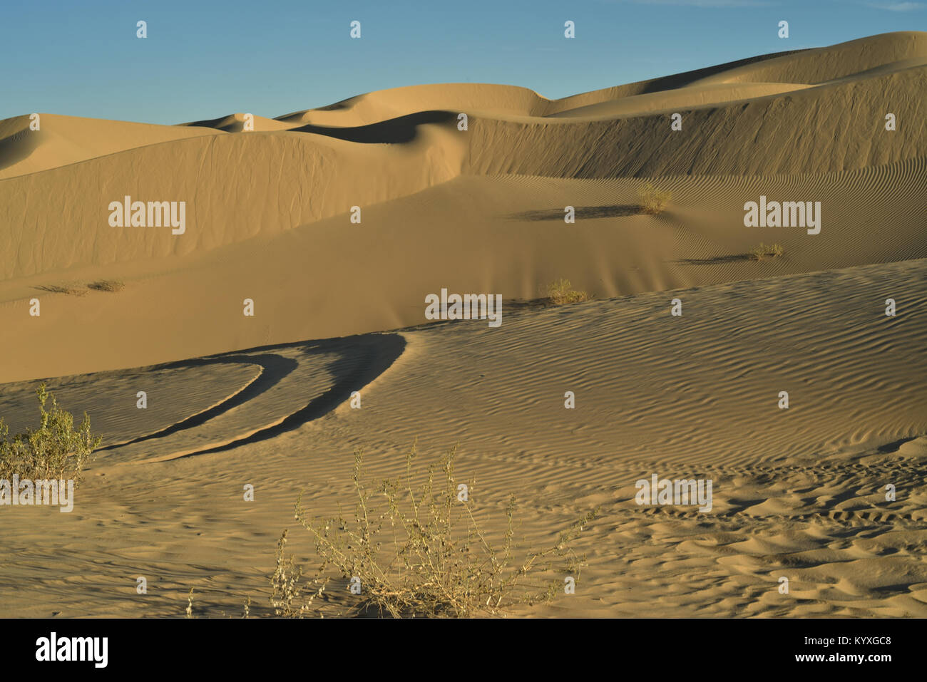 sand dunes at Imperial Sand Dunes, California, USA Stock Photo - Alamy
