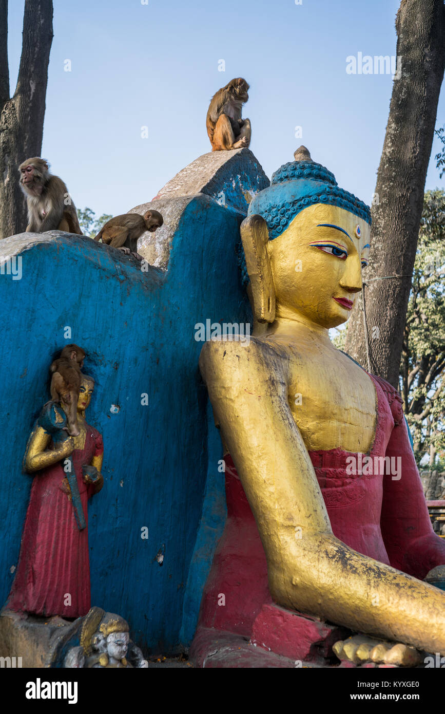 Swoyambhu Stupa (Monkey temple), Kathmandu, Nepal, Asia Stock Photo - Alamy