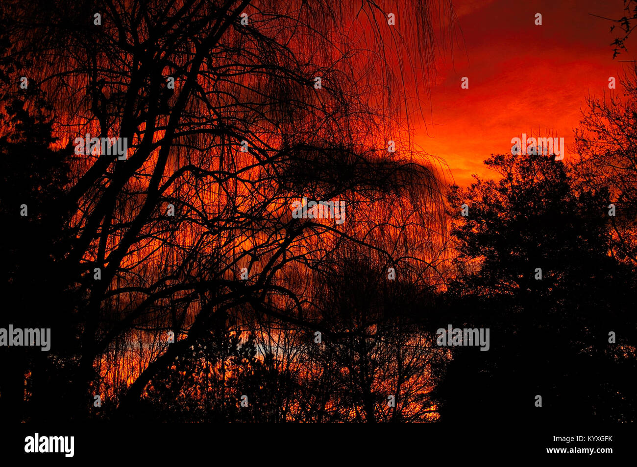 Silhouette morning red sunrise sky hi-res stock photography and images ...