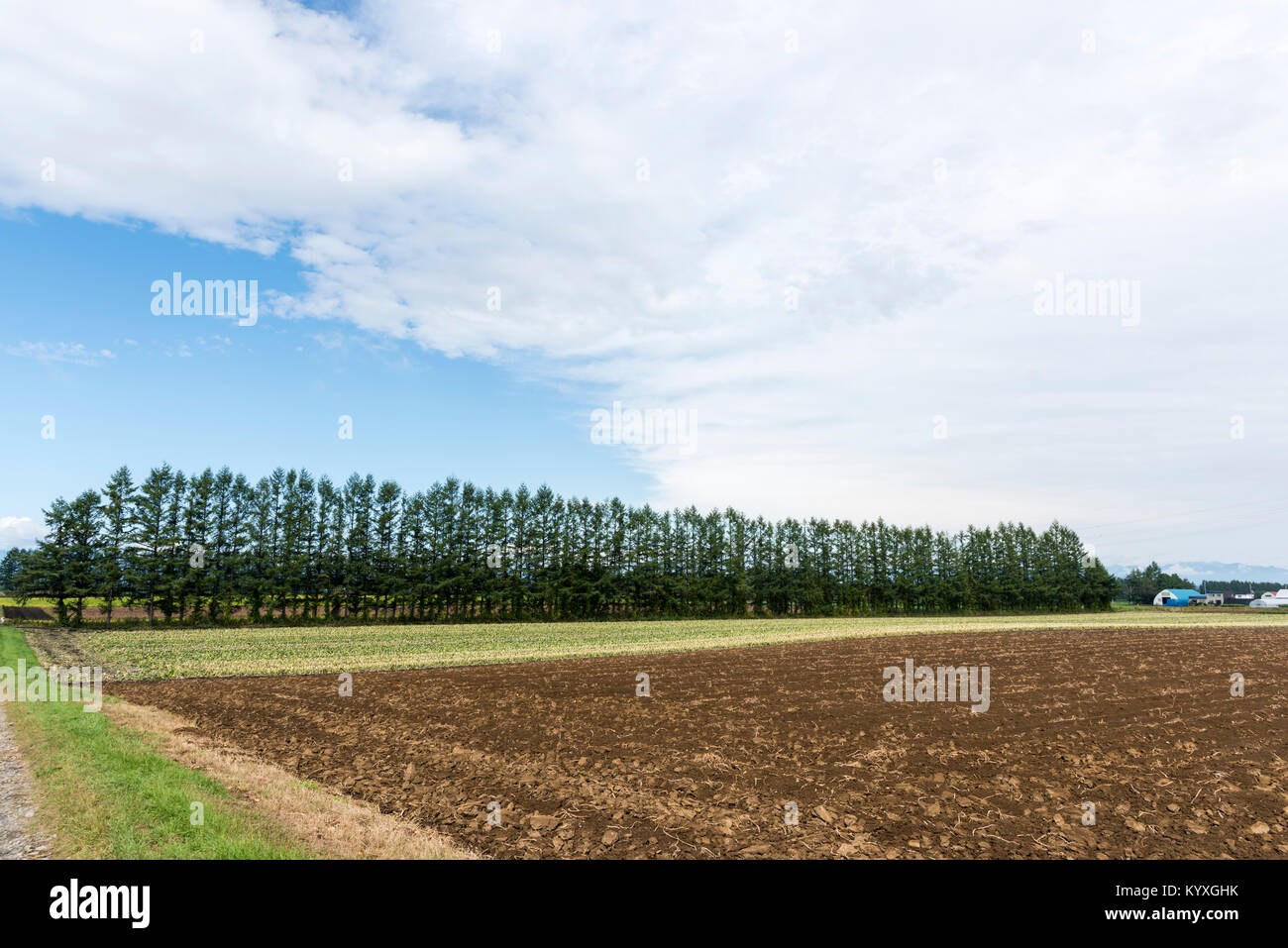 Tokachi plain hi-res stock photography and images - Alamy