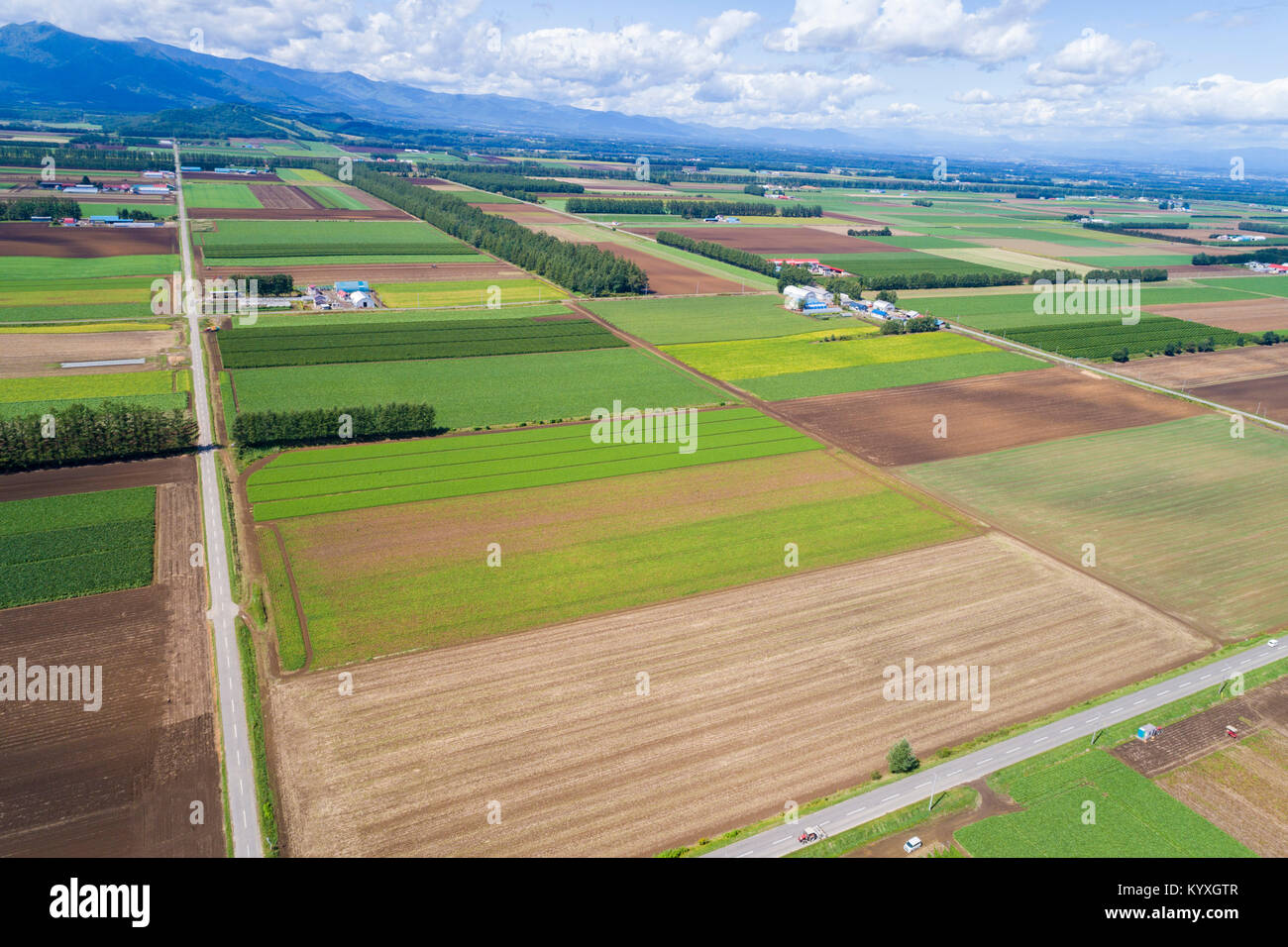 Aerial view of Tokachi Plain, Memuro-cho, Kasai-gun, Hokkaido, Japan ...
