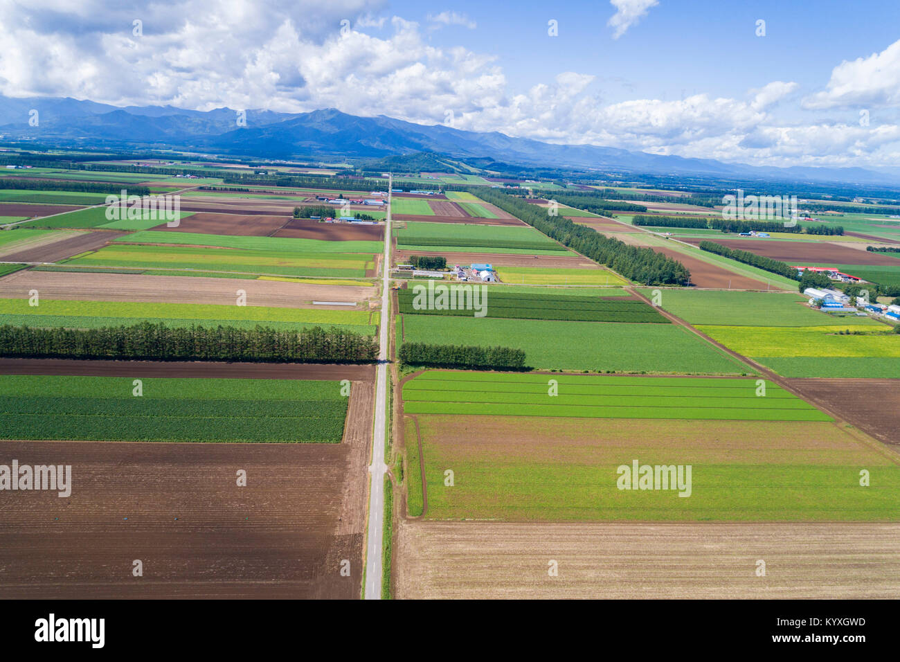 Aerial view of Tokachi Plain, Memuro-cho, Kasai-gun, Hokkaido, Japan ...