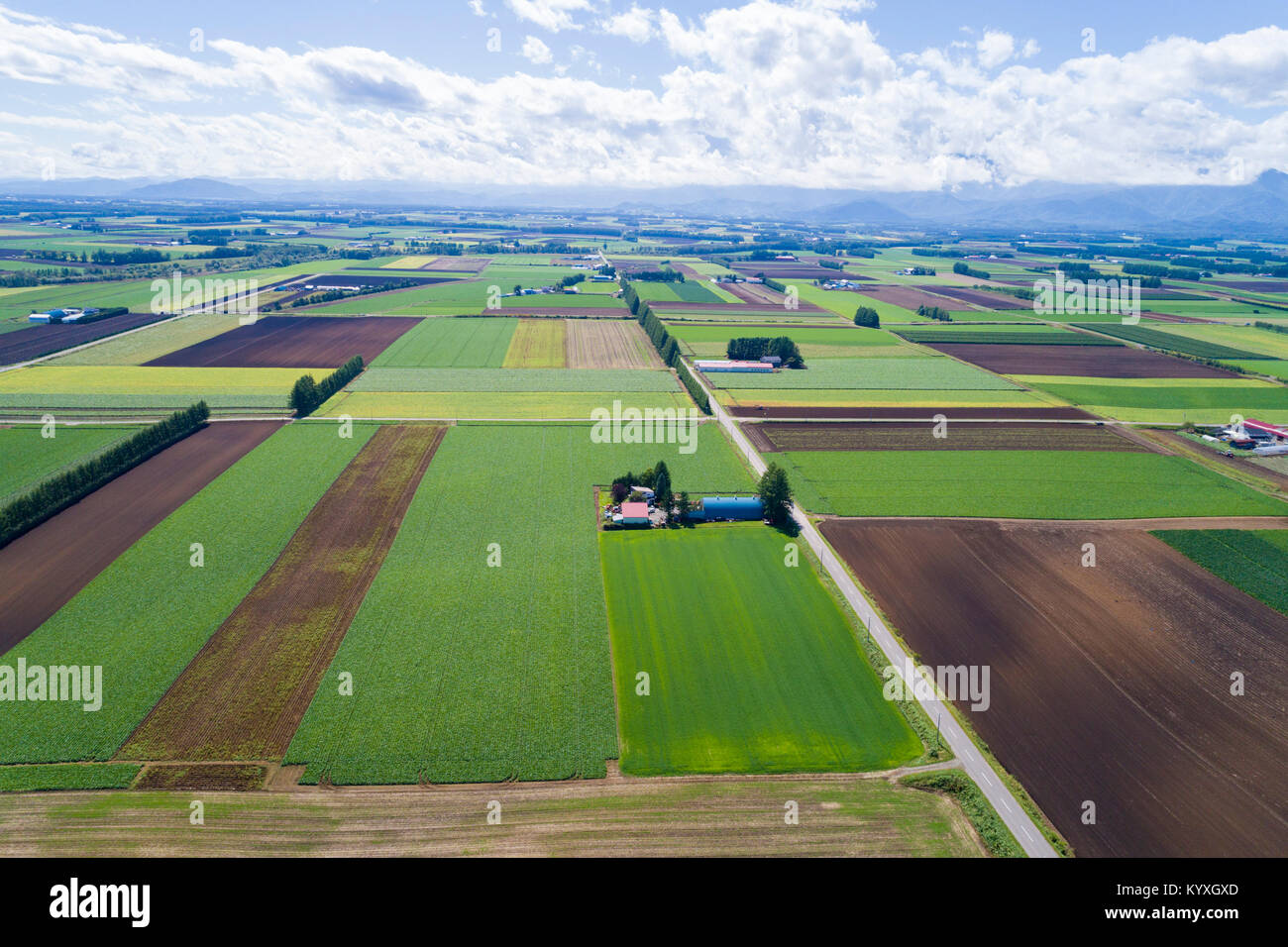 Aerial view of Tokachi Plain, Memuro-cho, Kasai-gun, Hokkaido, Japan ...