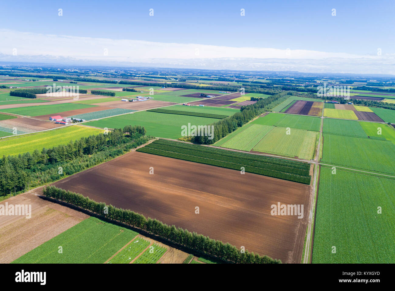 Aerial view of Tokachi Plain, Memuro-cho, Kasai-gun, Hokkaido, Japan ...