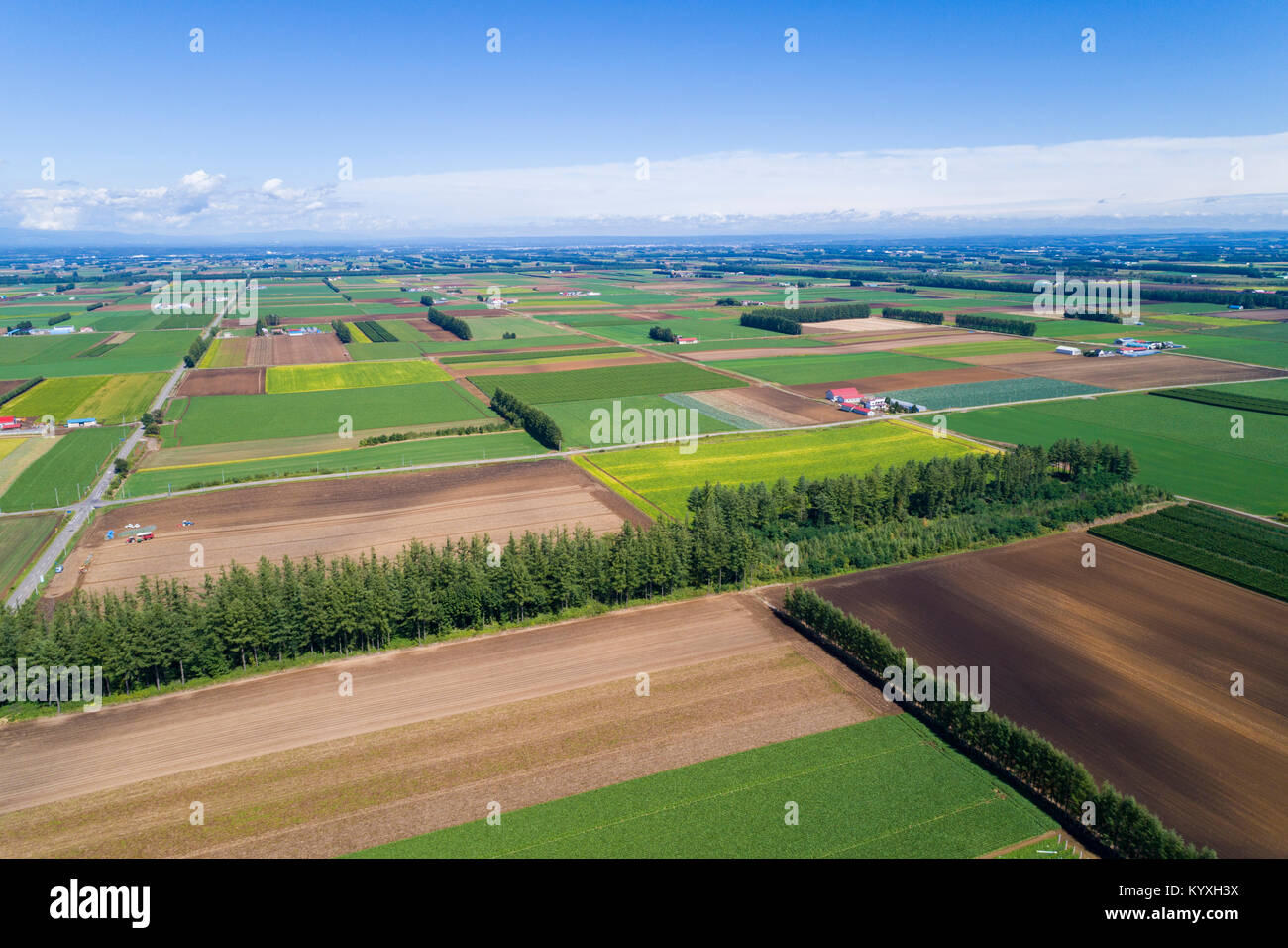 Windproof forest High Resolution Stock Photography and Images - Alamy