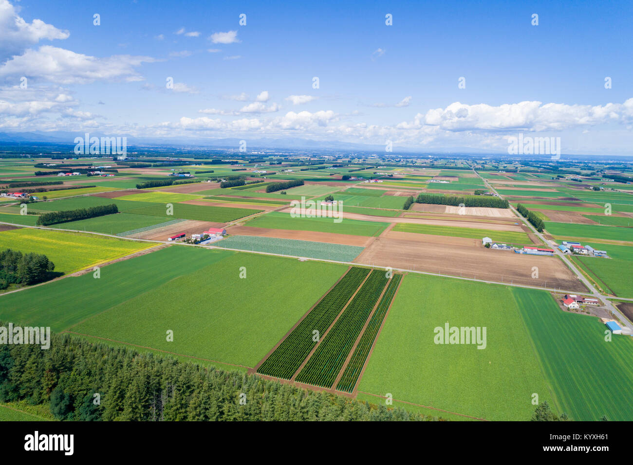 Aerial view of Tokachi Plain, Memuro-cho, Kasai-gun, Hokkaido, Japan ...